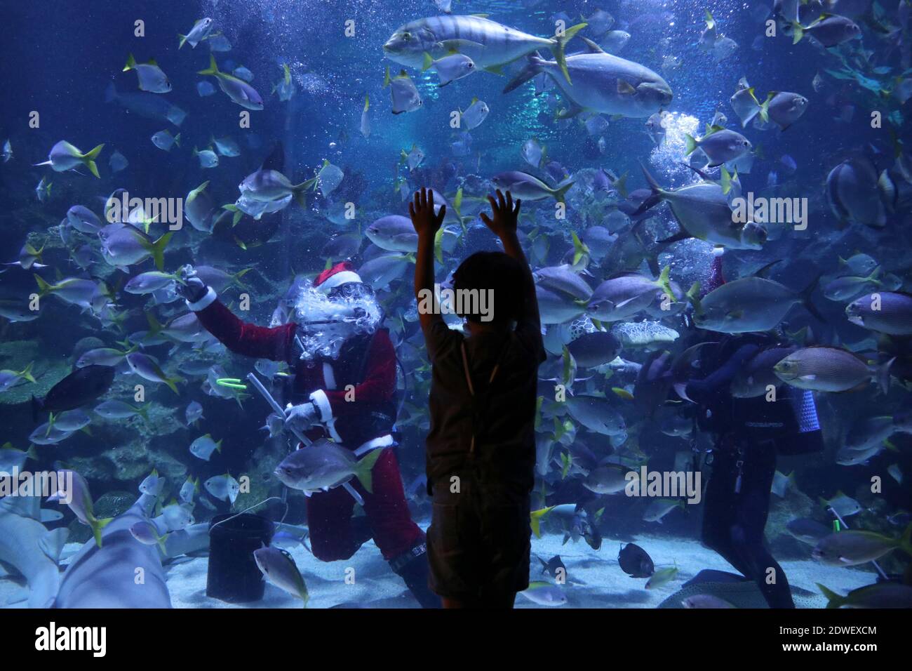 The aquaria klcc hi-res stock photography and images - Alamy