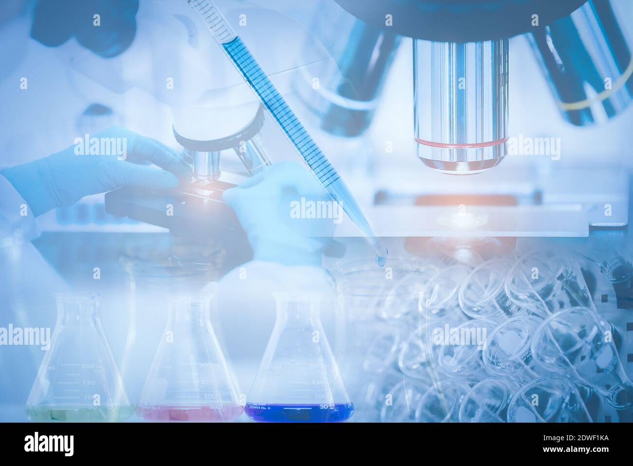 Scientist in laboratory compare hi-res stock photography and images - Alamy