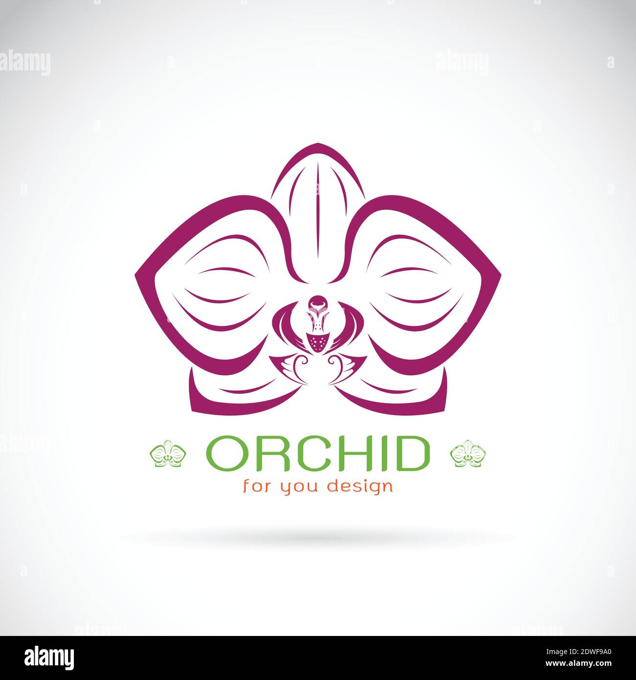 Vector of an Orchid logo on a white background. Flower Stock Vector ...