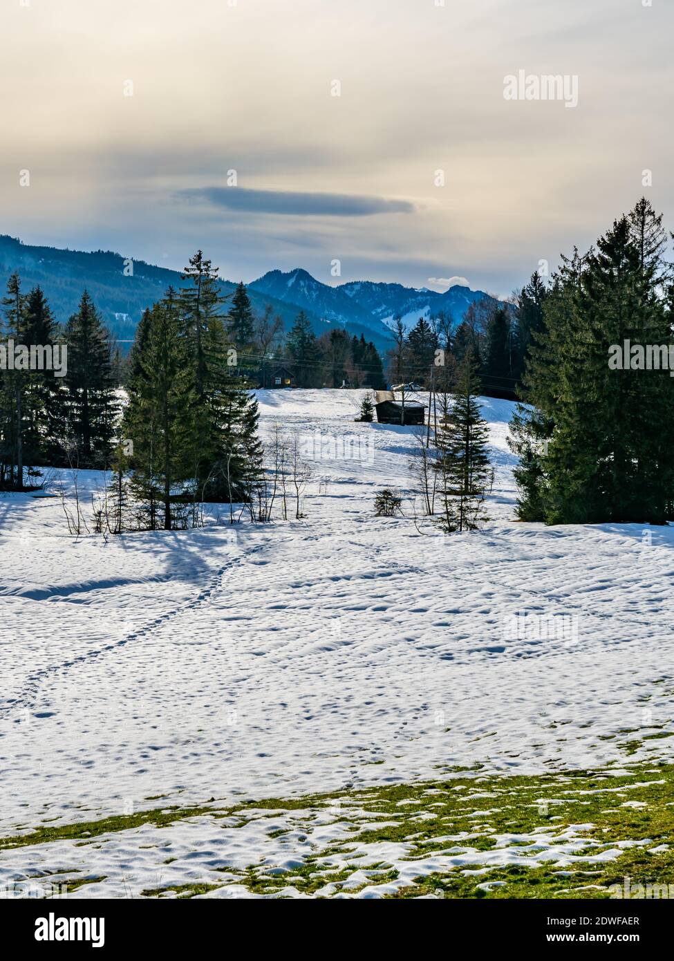 Tree edge moor hi-res stock photography and images - Alamy
