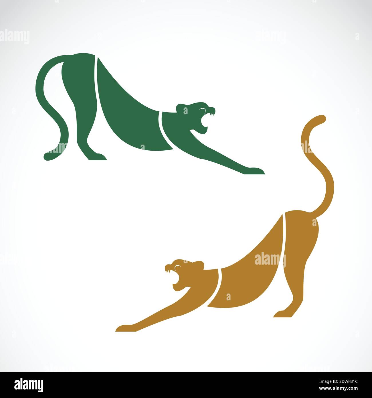 Vector of a tiger on white background. Easy editable layered vector ...