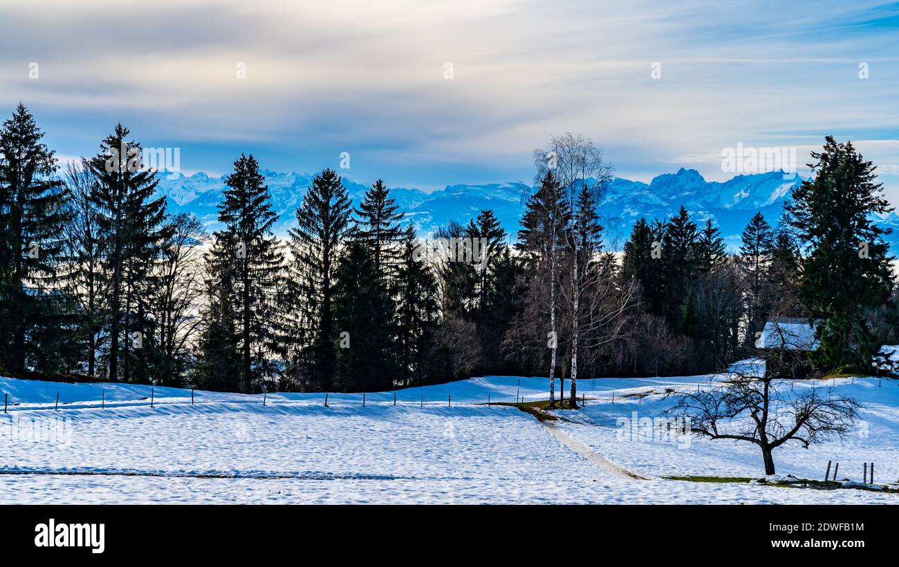 winter in the high moor of Bildstein. snowy landscape with meadow and ...