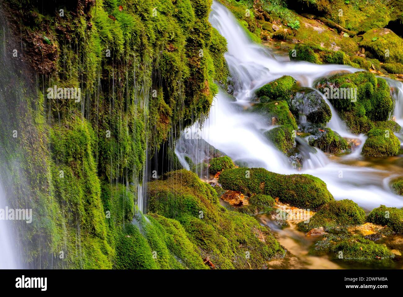 Ecology and nature. The source of clean drinking spring water among ...