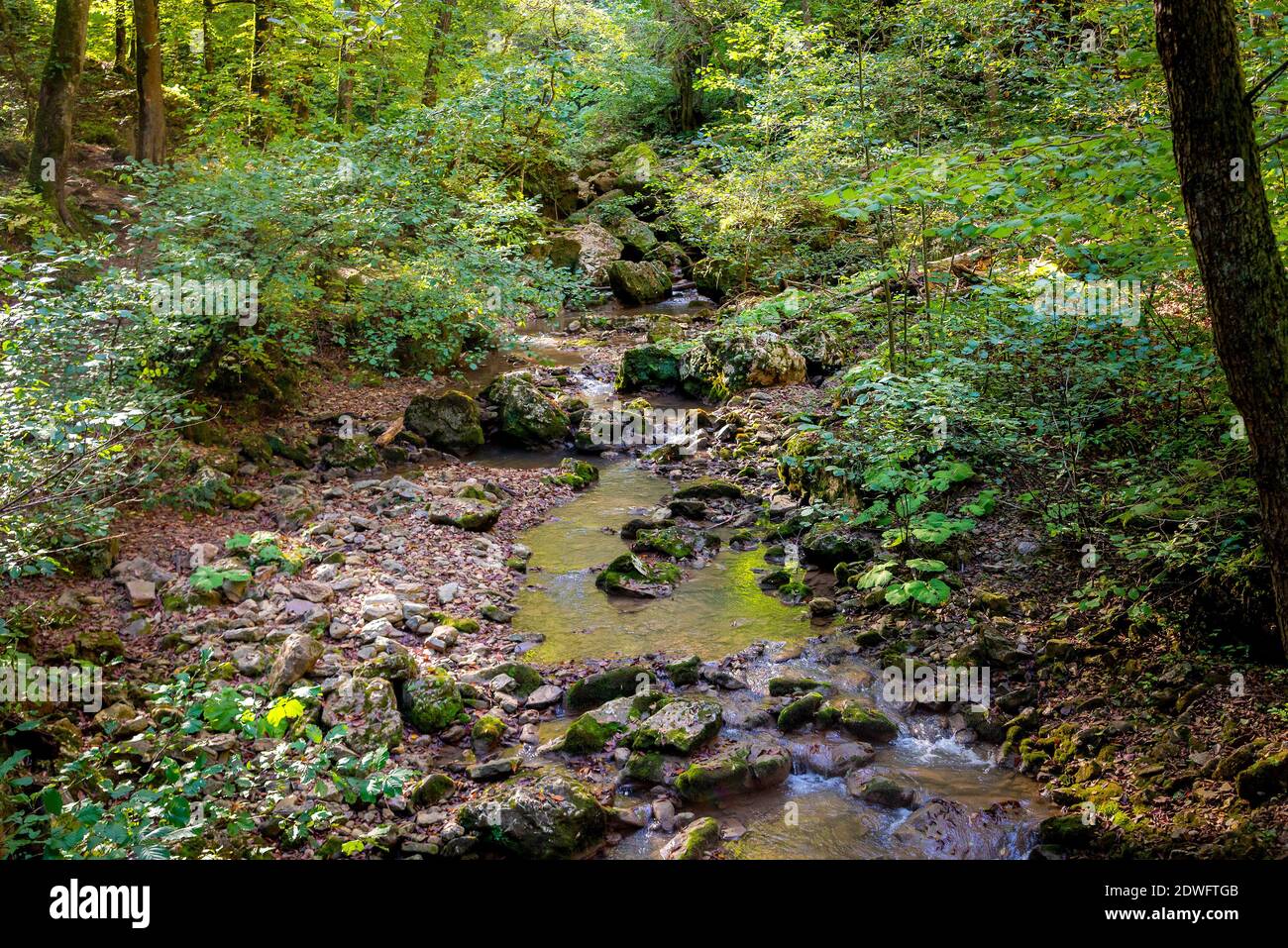 Small streams that are the source of the river.A small waterfall with ...