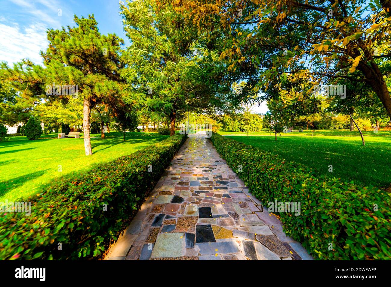 Flowerbeds, Grass Pathway and Ornamental Vase in a Formal Garden Stock ...
