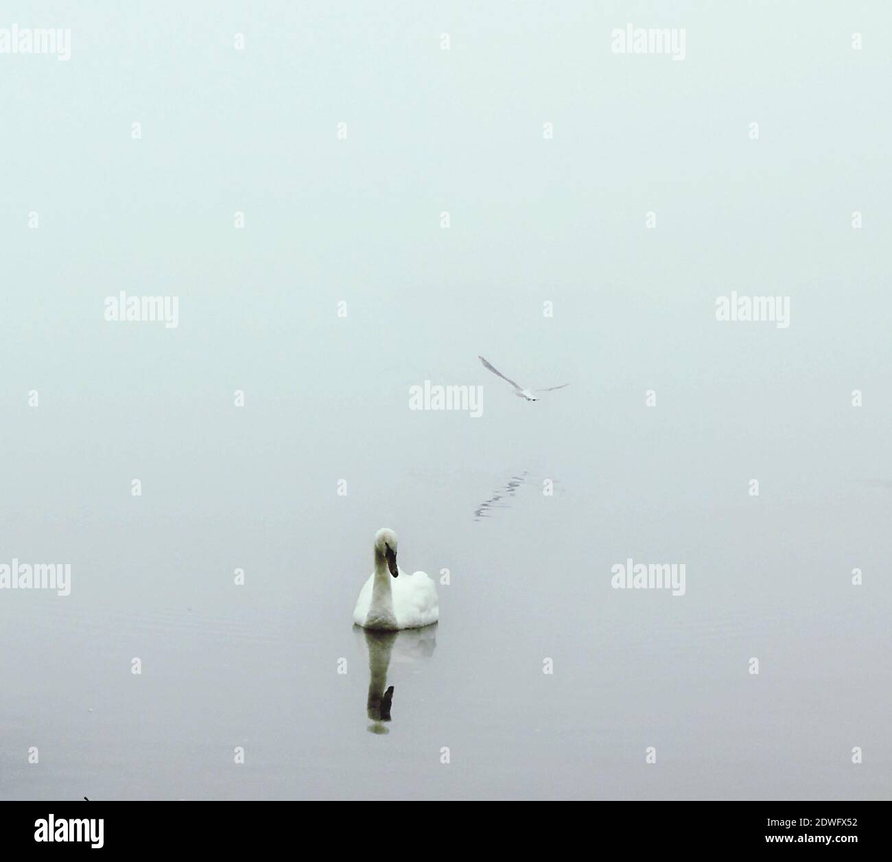 Petersfield lake hi-res stock photography and images - Alamy