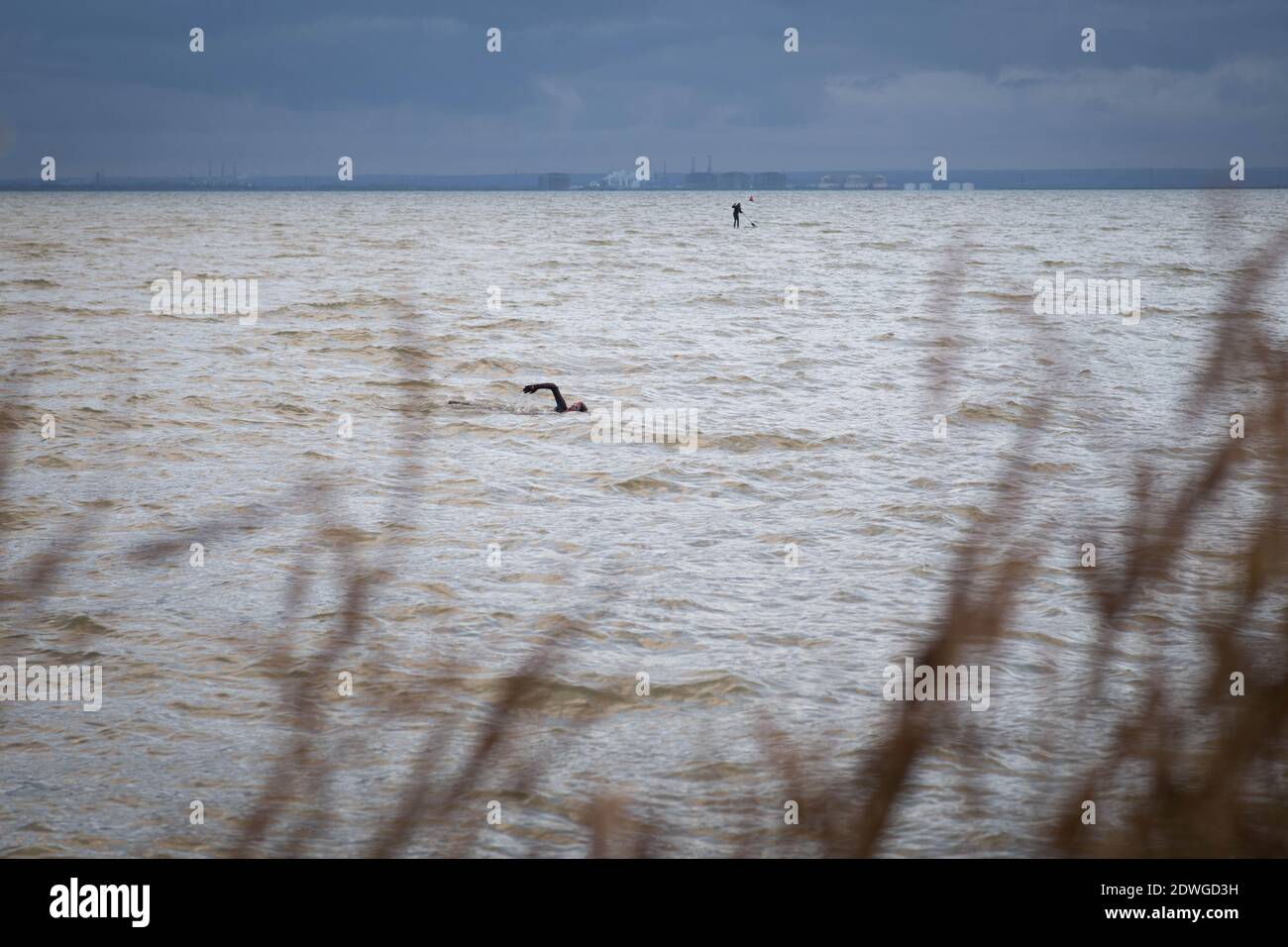 Daily dip hi-res stock photography and images - Alamy