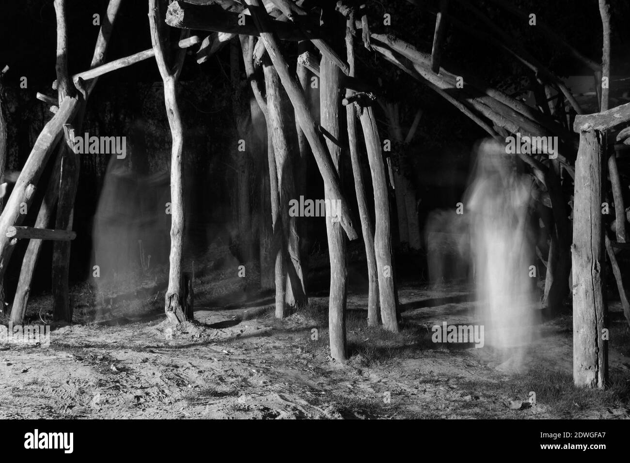 Woodland Ghost High Resolution Stock Photography and Images - Alamy