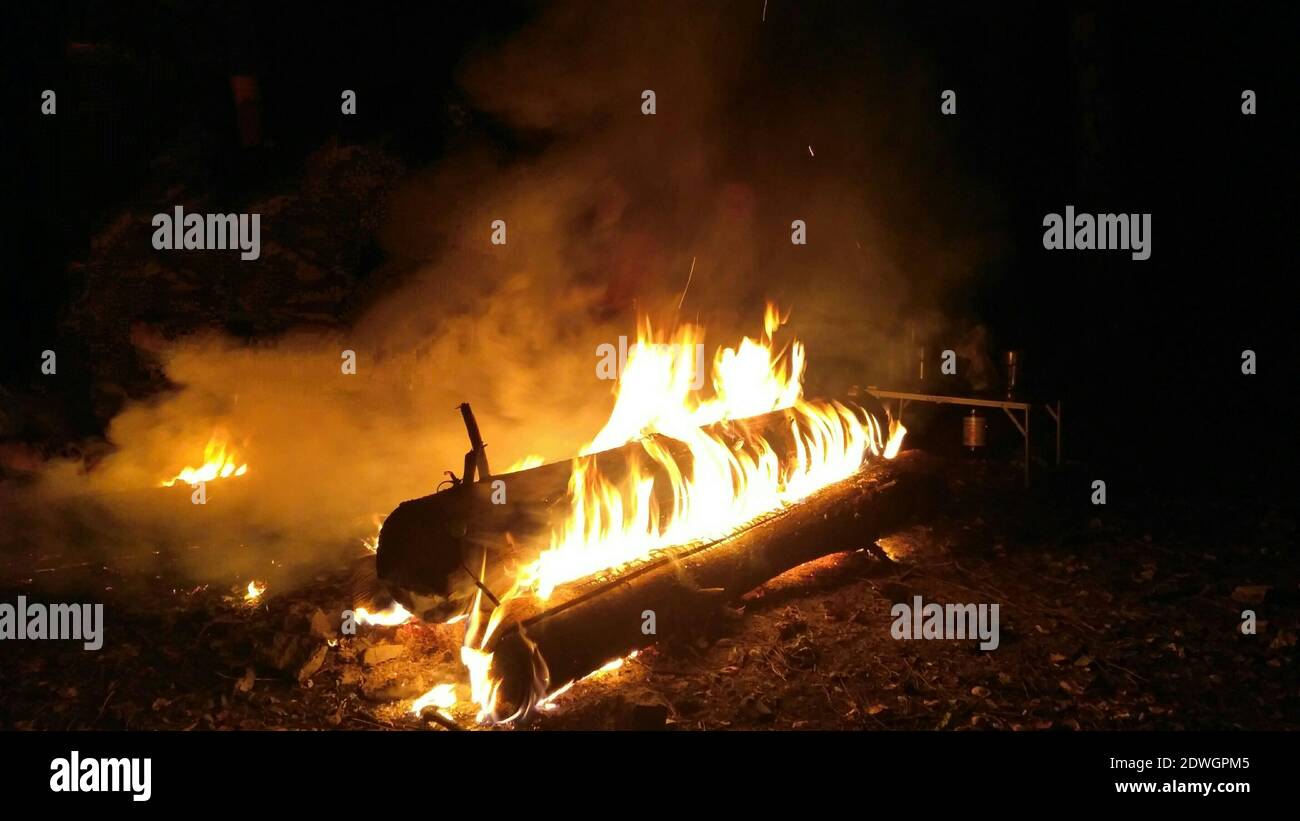 Tree burning hi-res stock photography and images - Alamy