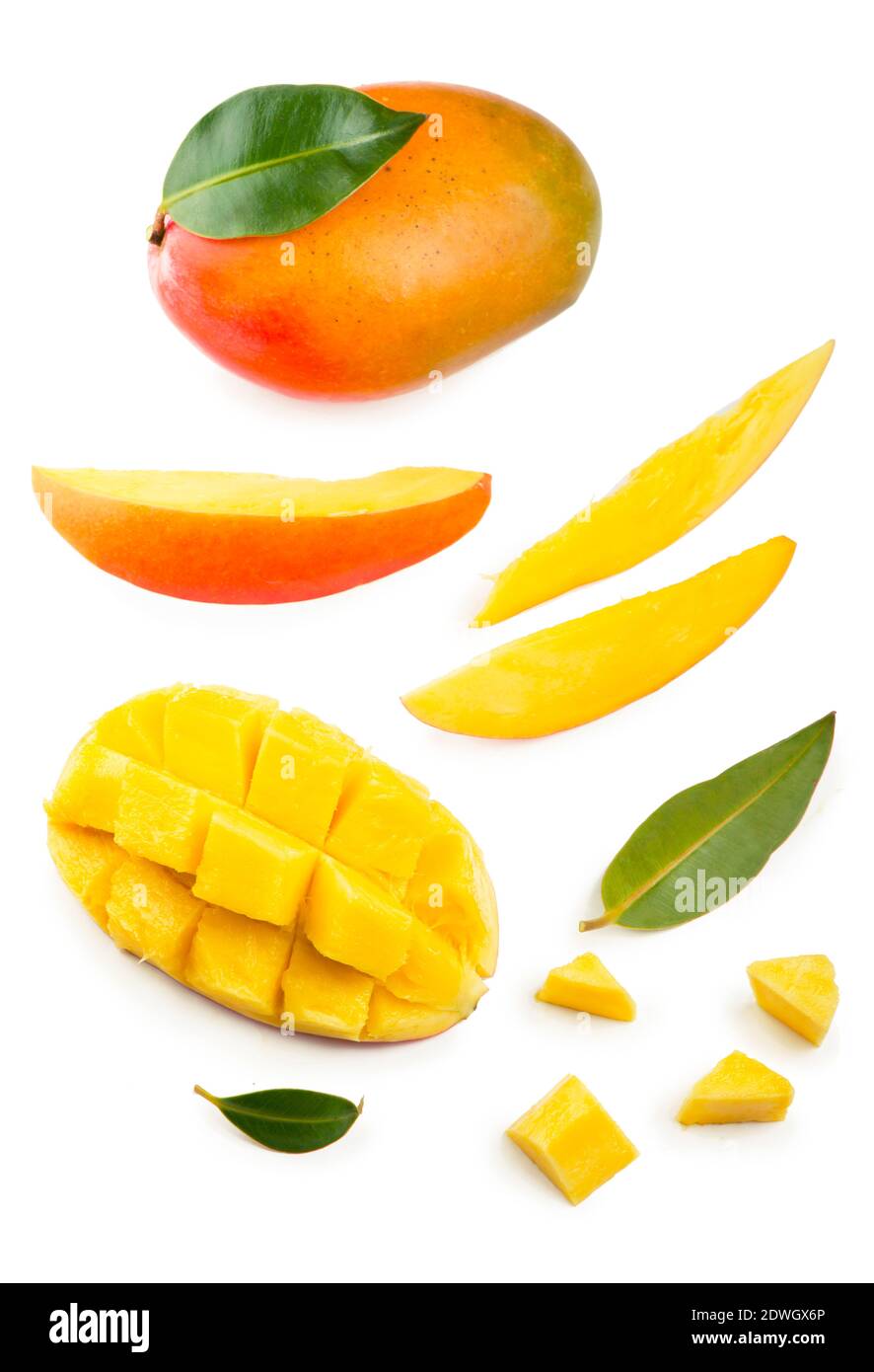 Mango leaf isolated on white background Stock Photo - Alamy