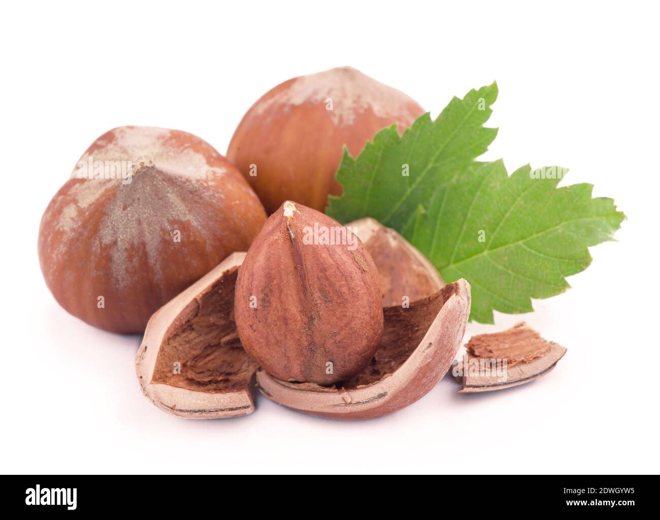 Closeup of hazelnuts, isolated on the white background, clipping path ...