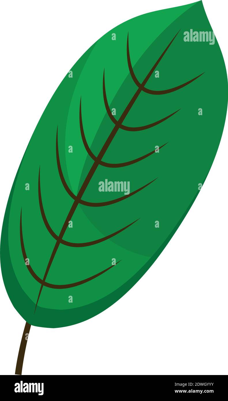 Ovate form hi-res stock photography and images - Alamy