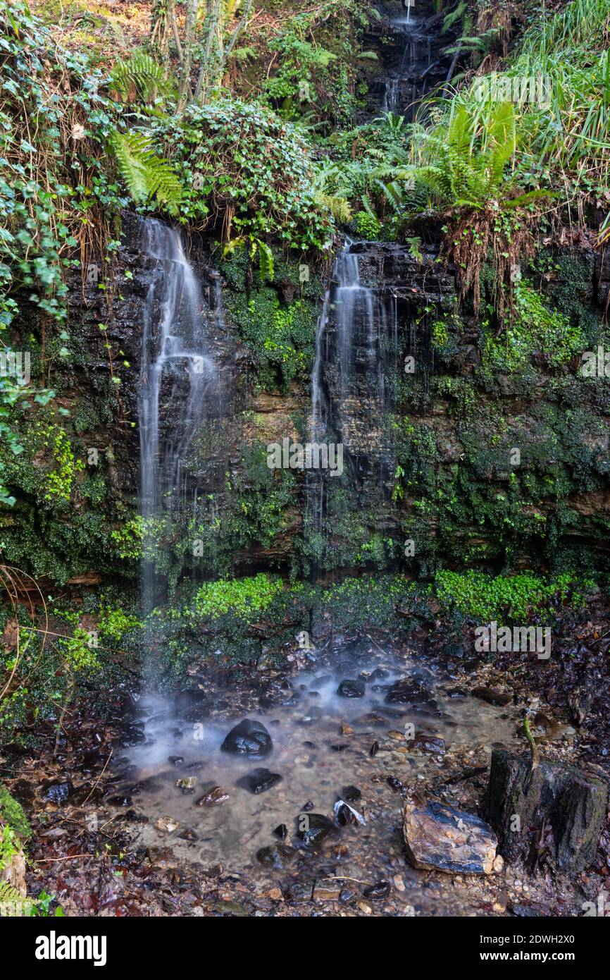 Dripping Well waterfall within Hastings county park East Sussex south ...