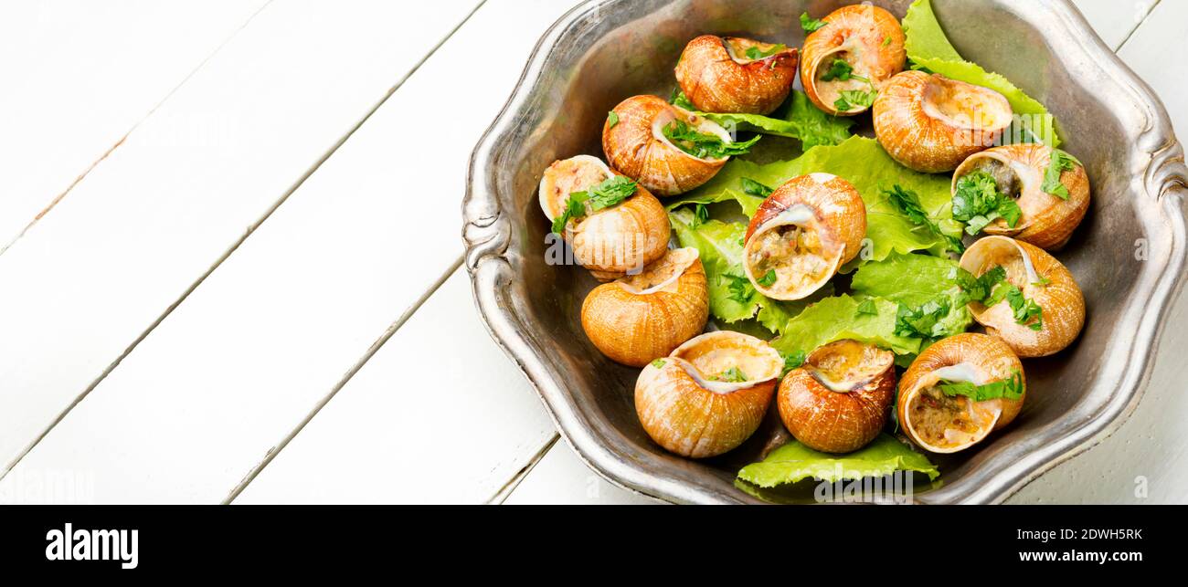 Tasty snails in vintage tray.Stuffed escargots.France food Stock Photo ...