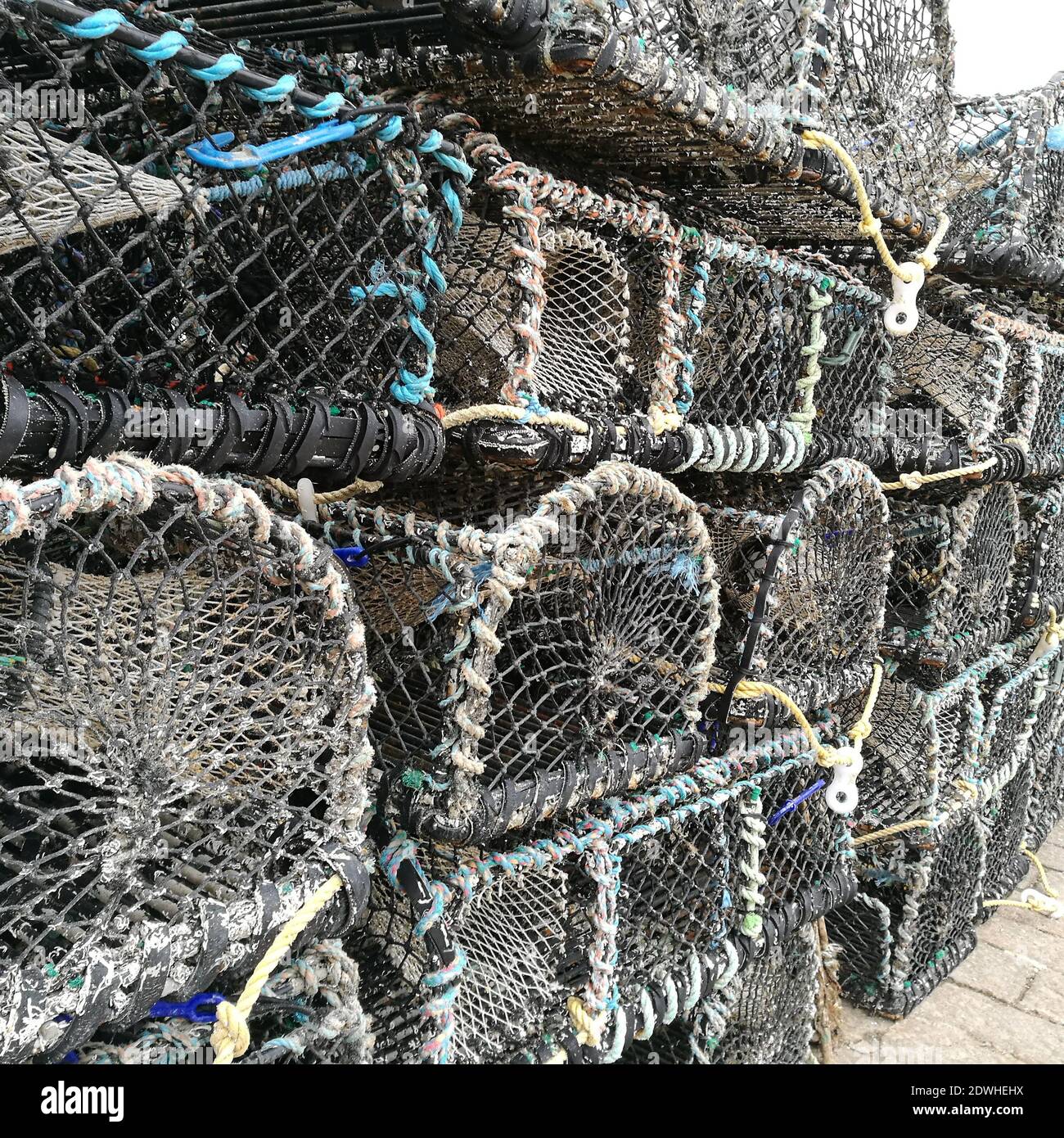 Fish trawler net full hi-res stock photography and images - Alamy