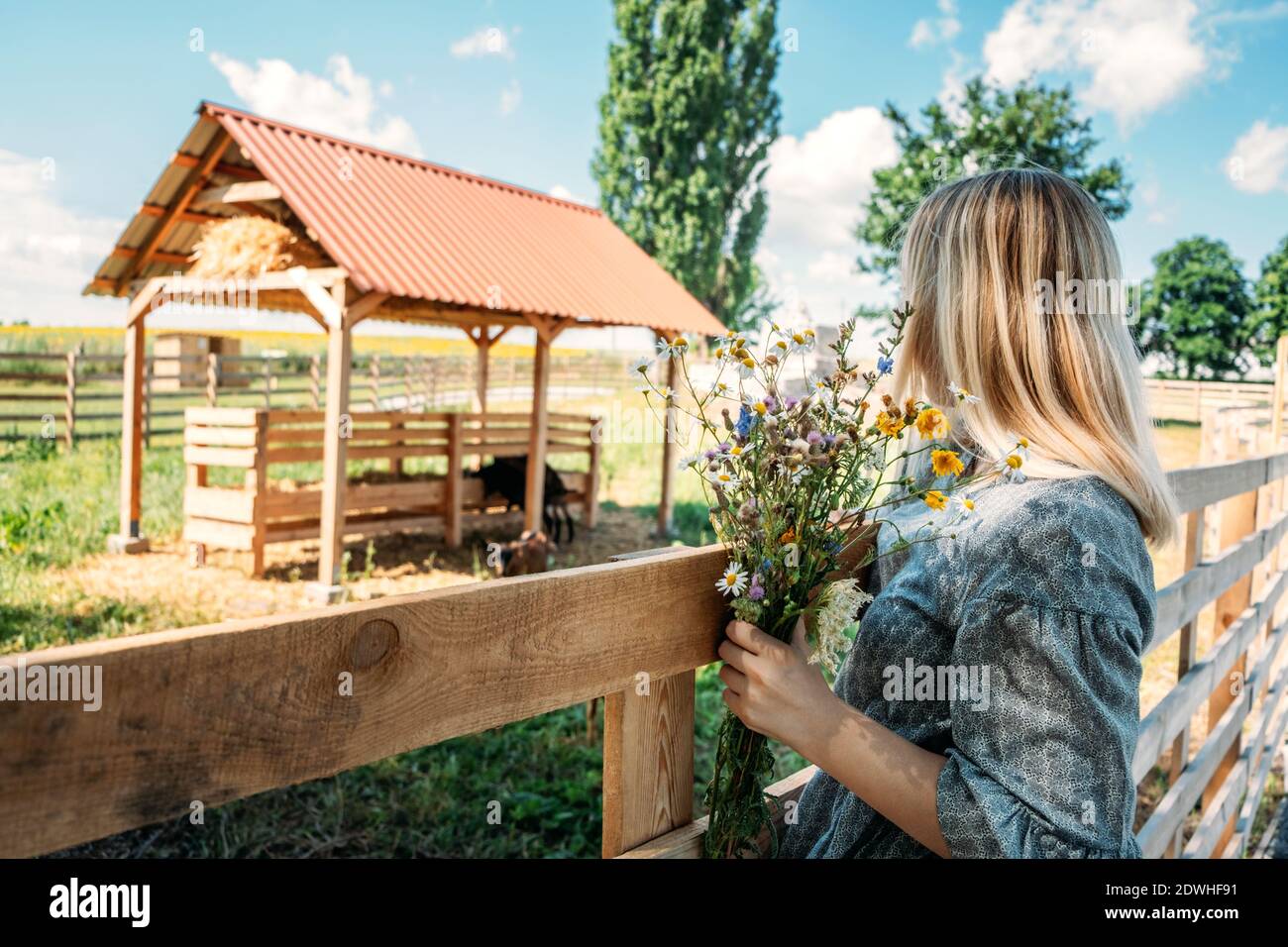 Cottagecore, Countryside aesthetics, Farming, Farmcore, Countrycore ...