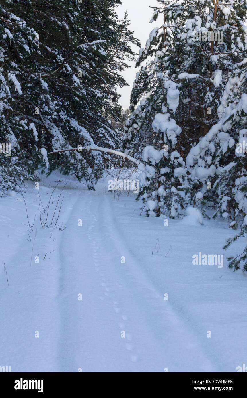 Beautiful atmospheric winter hi-res stock photography and images - Alamy