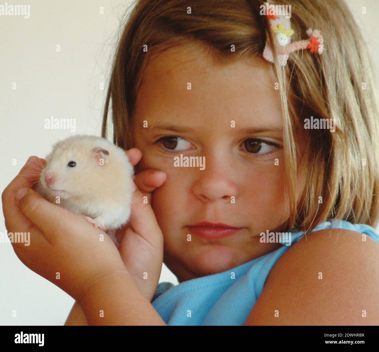 Owner holding pet rat hi-res stock photography and images - Alamy