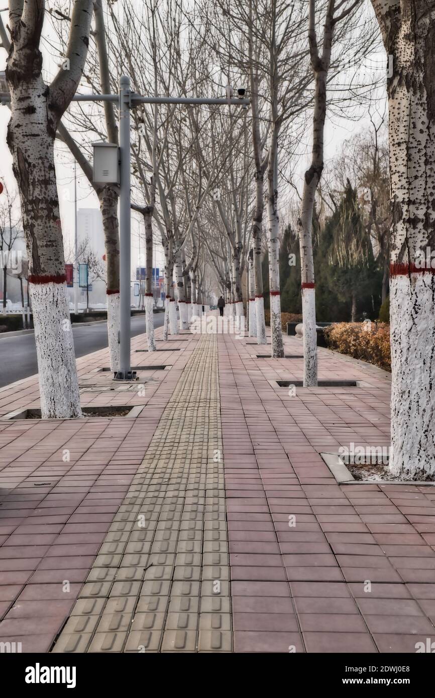 Lone Tree China High Resolution Stock Photography and Images - Alamy