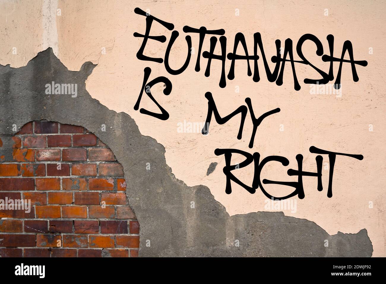 Euthanasia Patients Rights