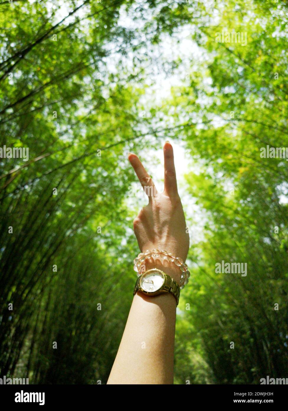 Hand groove hi-res stock photography and images - Alamy