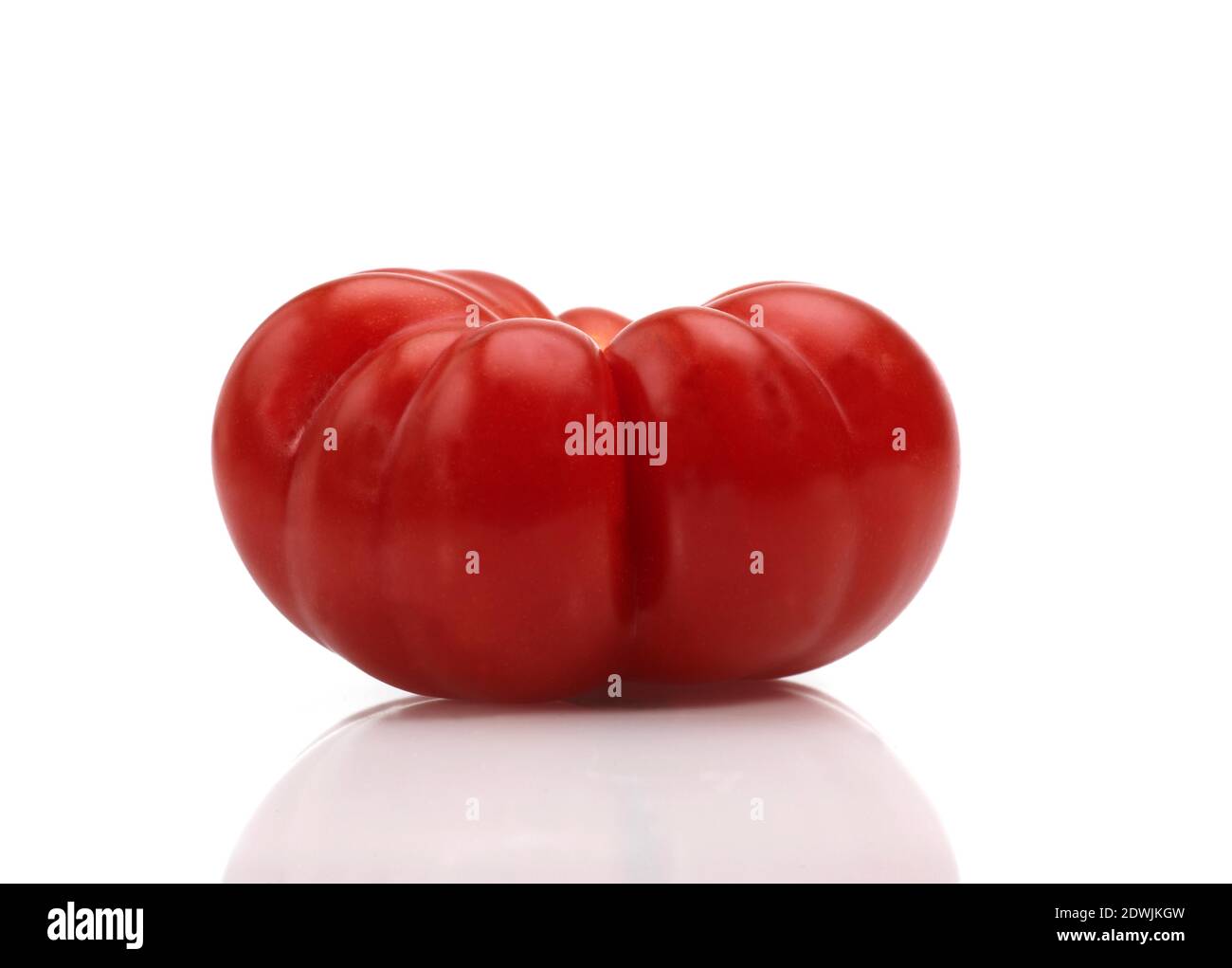 Camone Tomato, solanum lycopersicum against White Background Stock ...