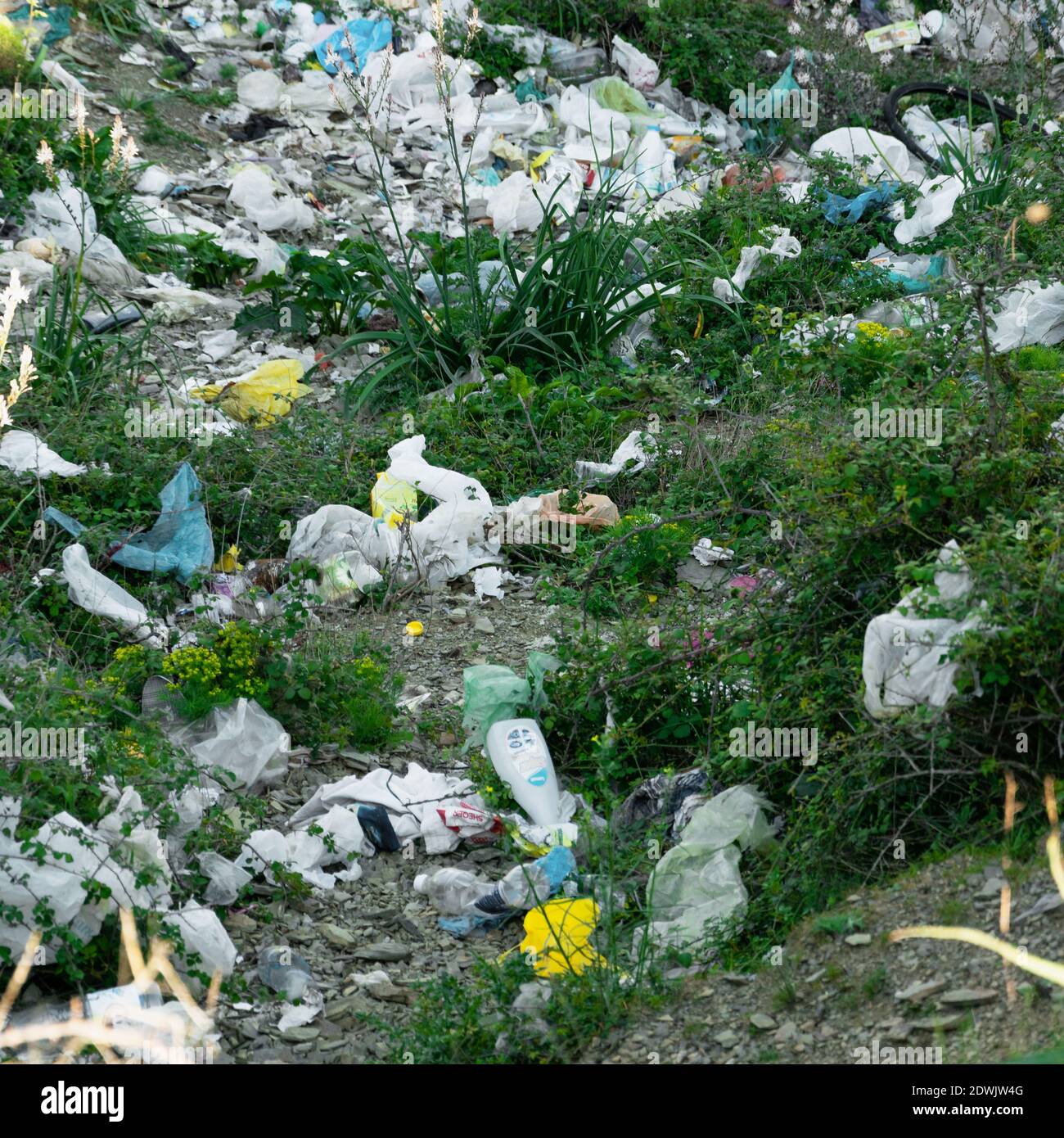 Trash thrown away in nature, environmental problems. Nature disaster ...