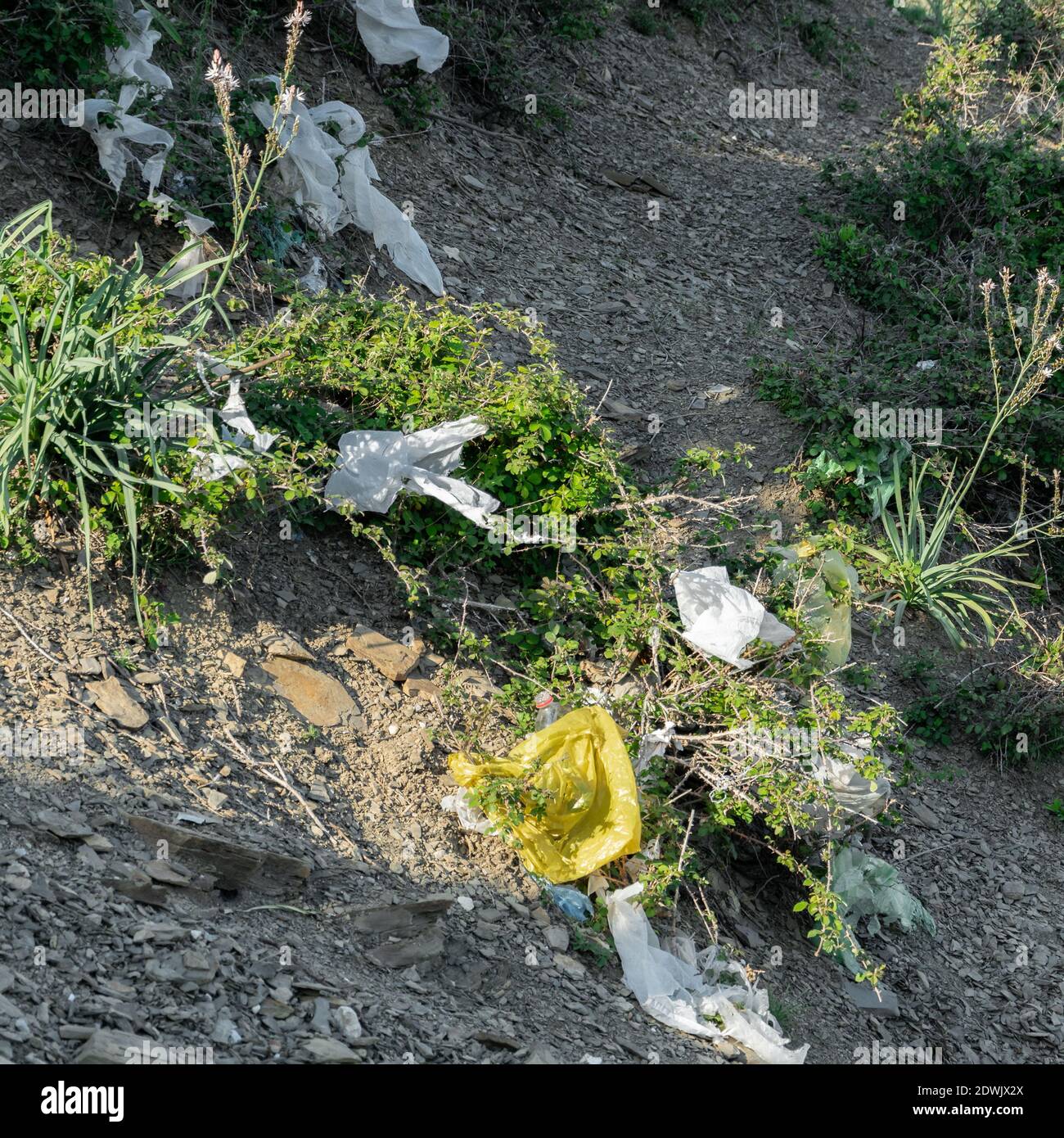 Trash thrown away in nature, environmental problems. Nature disaster ...