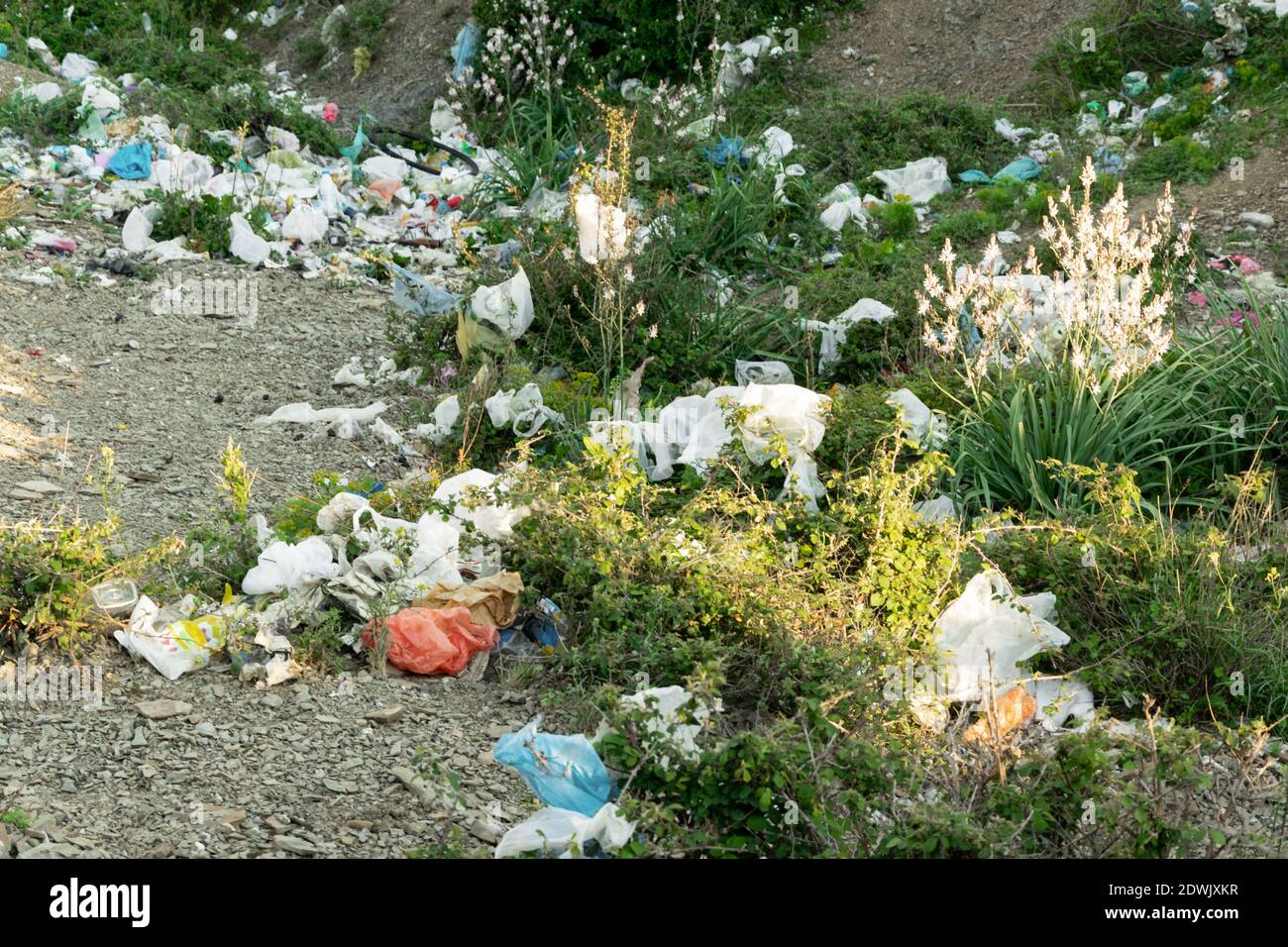 Trash thrown away in nature, environmental problems. Nature disaster ...
