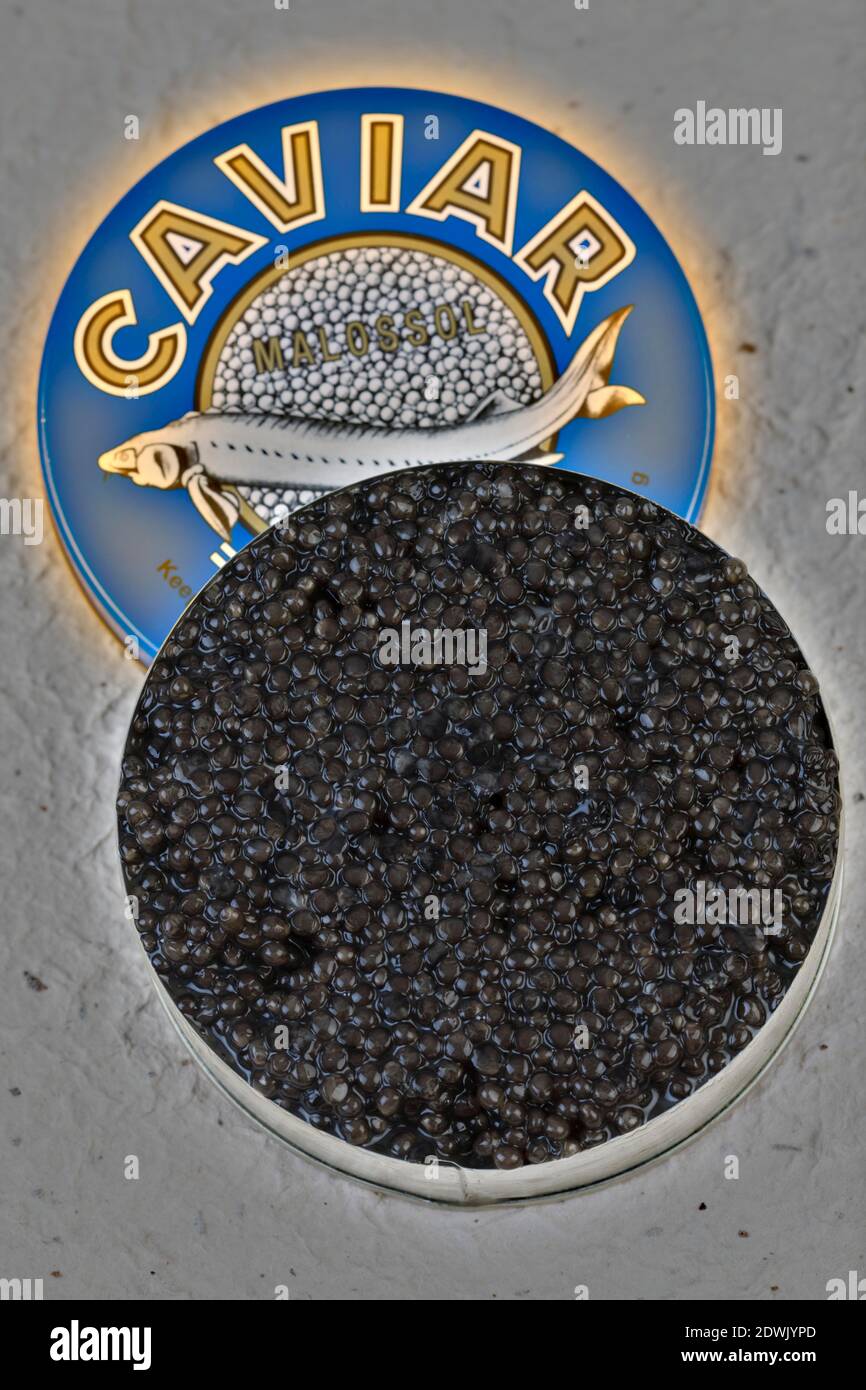 Caviar, Sturgeon's Egg Stock Photo - Alamy