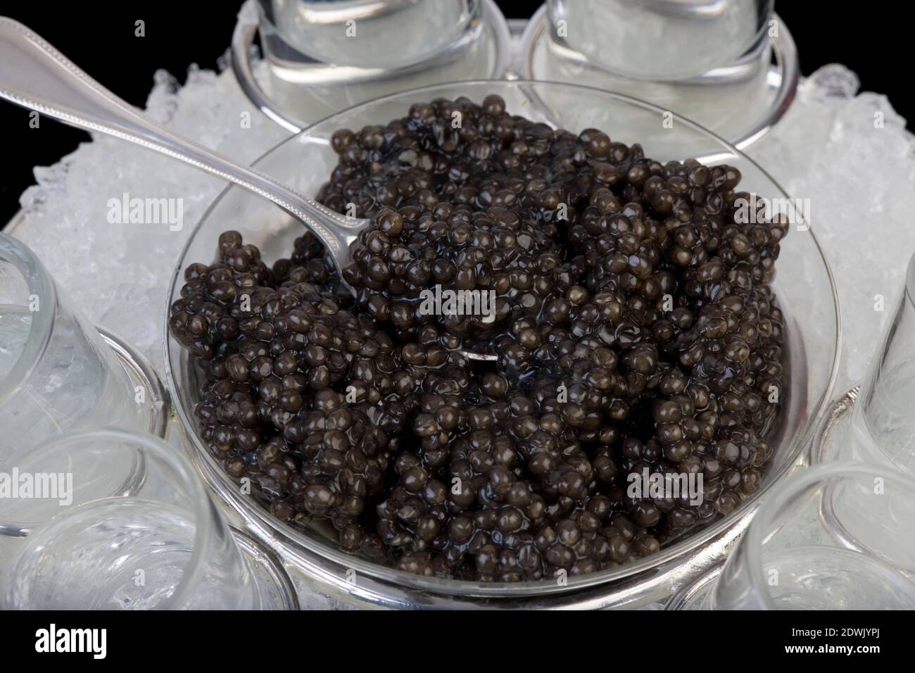Caviar, Sturgeon's Egg Stock Photo - Alamy