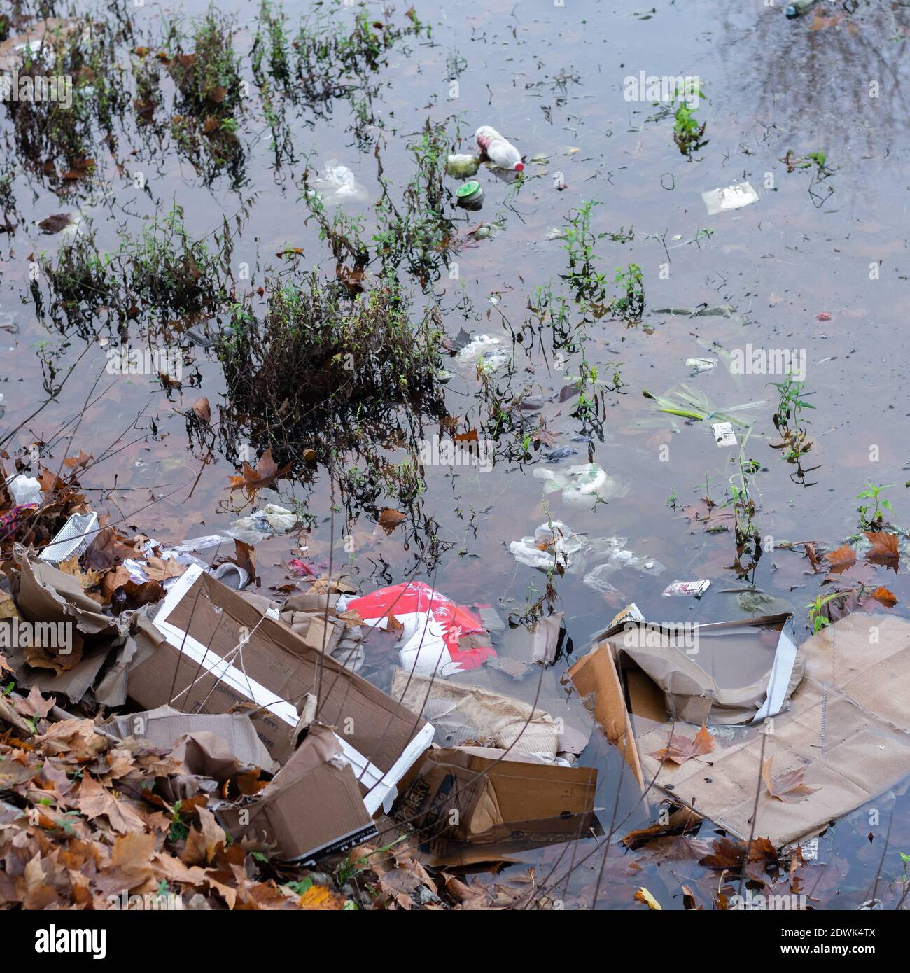 Environmental Problems