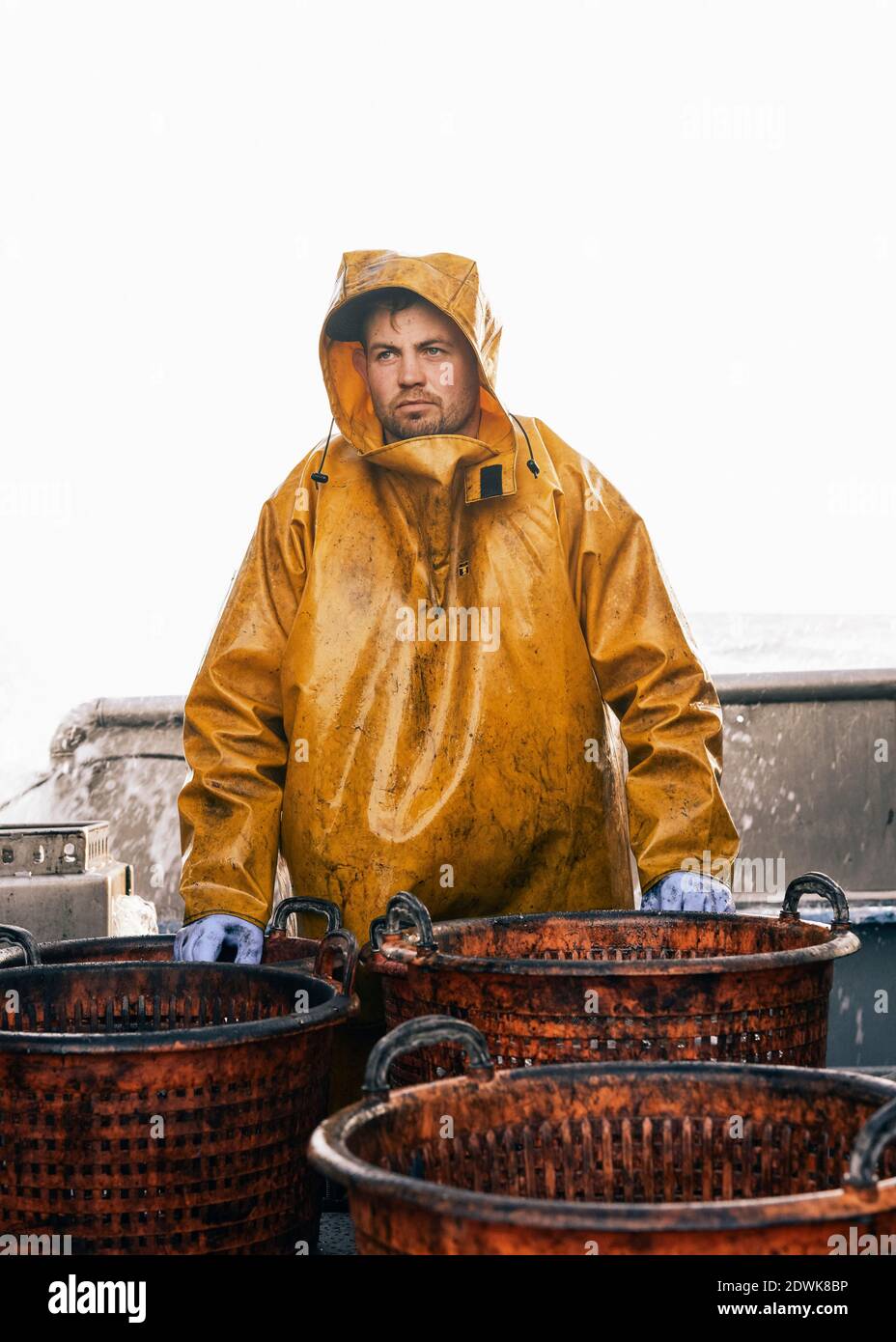 Professional Rugby Player High Resolution Stock Photography and Images ...