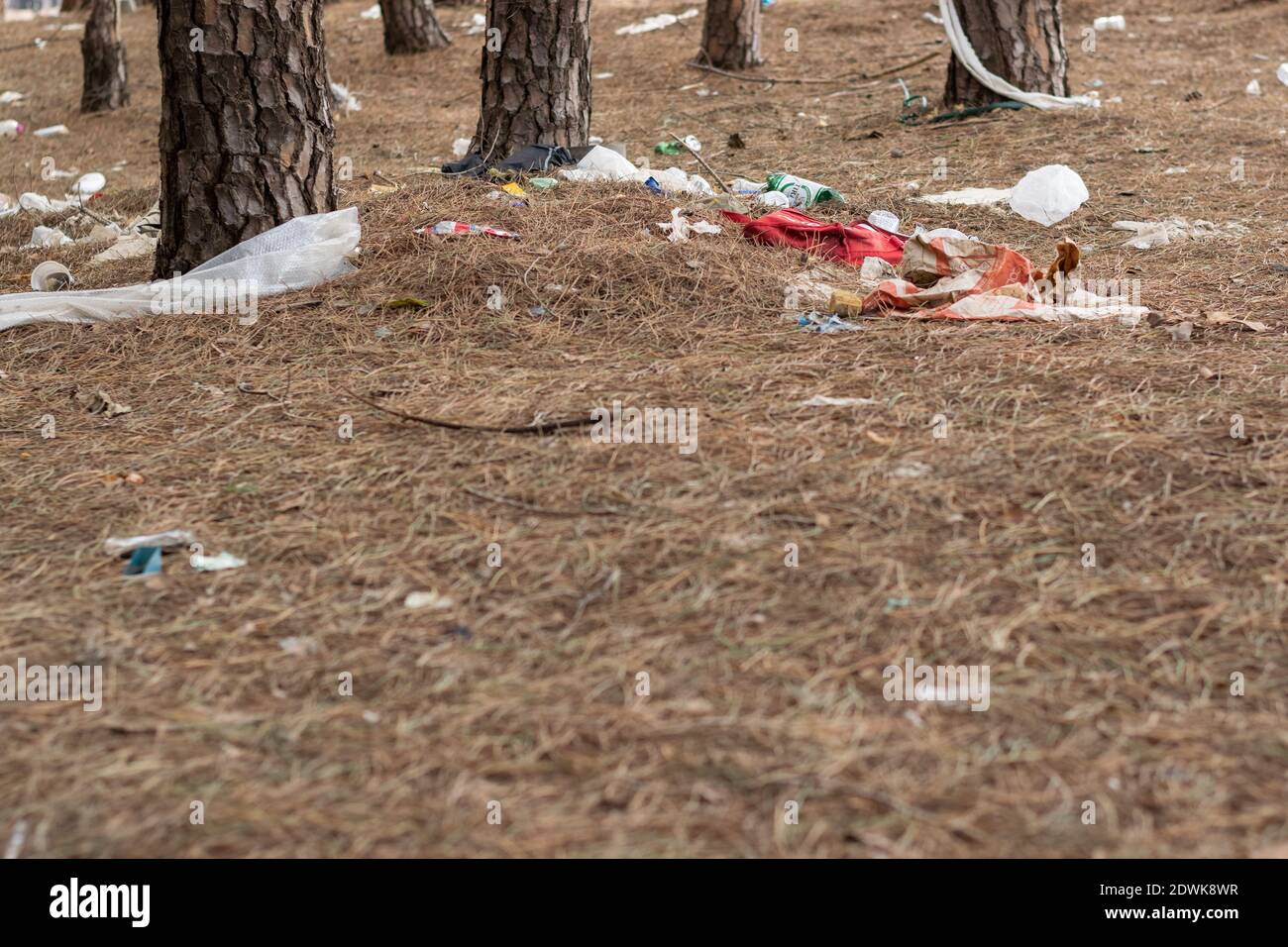 Trash thrown away in nature, environmental problems. Nature disaster ...