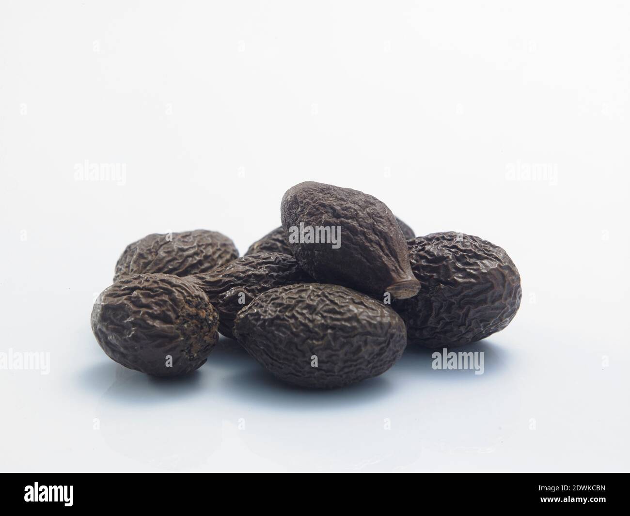 Scaphium affine hi-res stock photography and images - Alamy