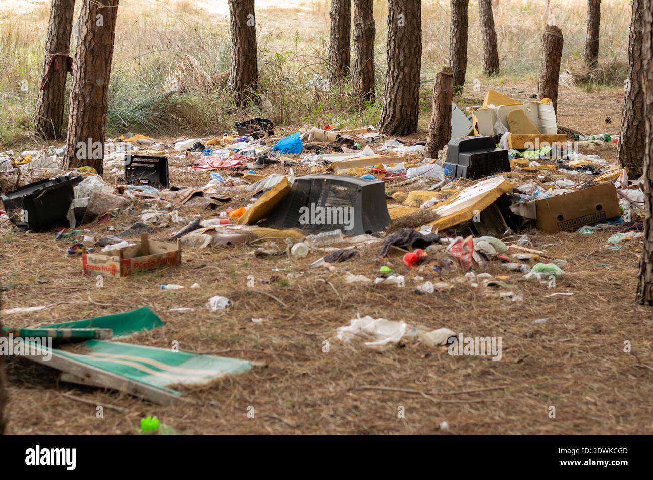 Trash thrown away in nature, environmental problems. Nature disaster ...
