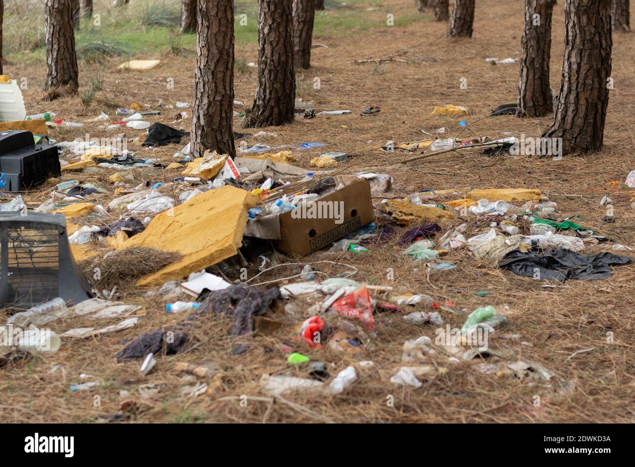 Trash thrown away in nature, environmental problems. Nature disaster ...