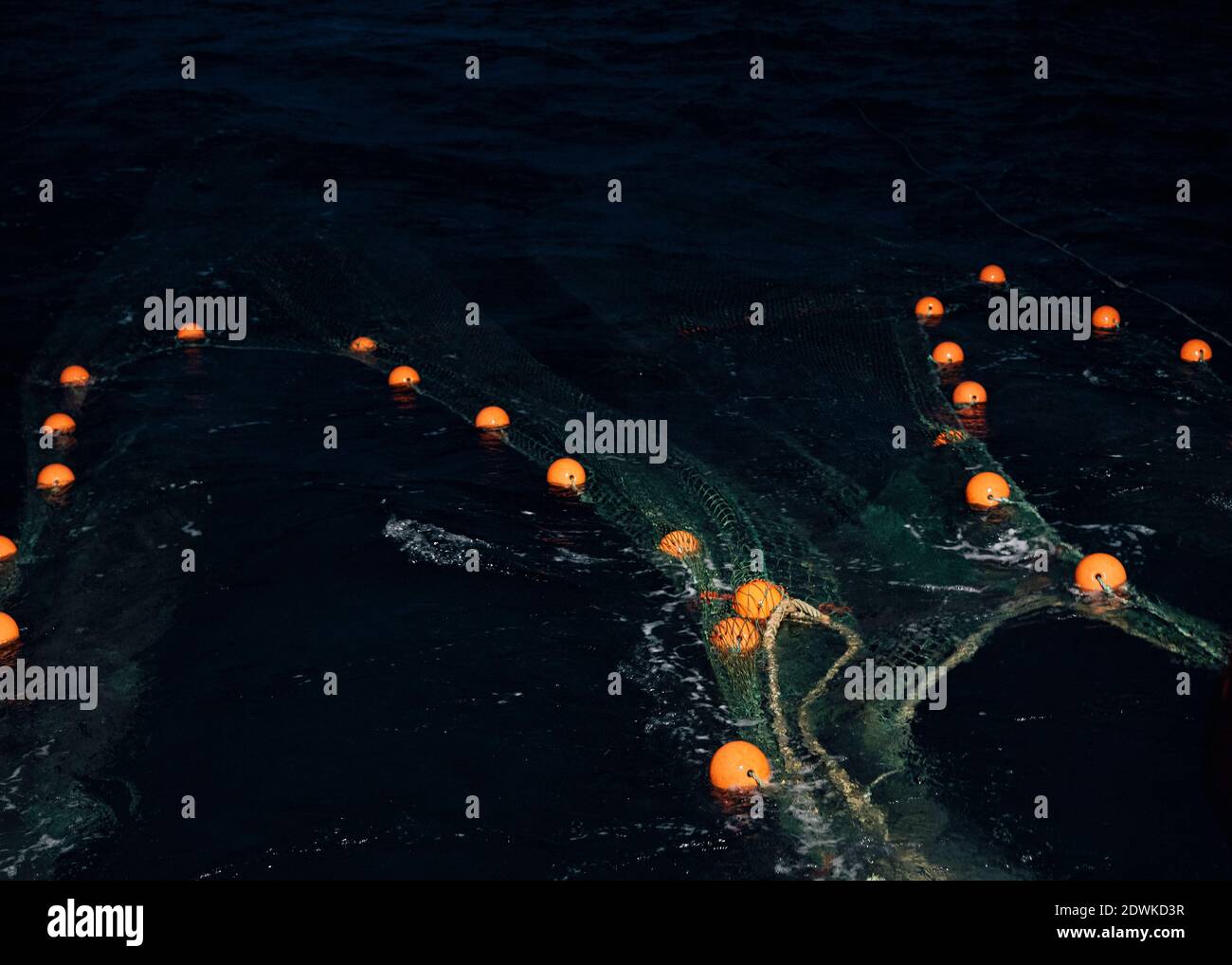 Stern nets hi-res stock photography and images - Alamy