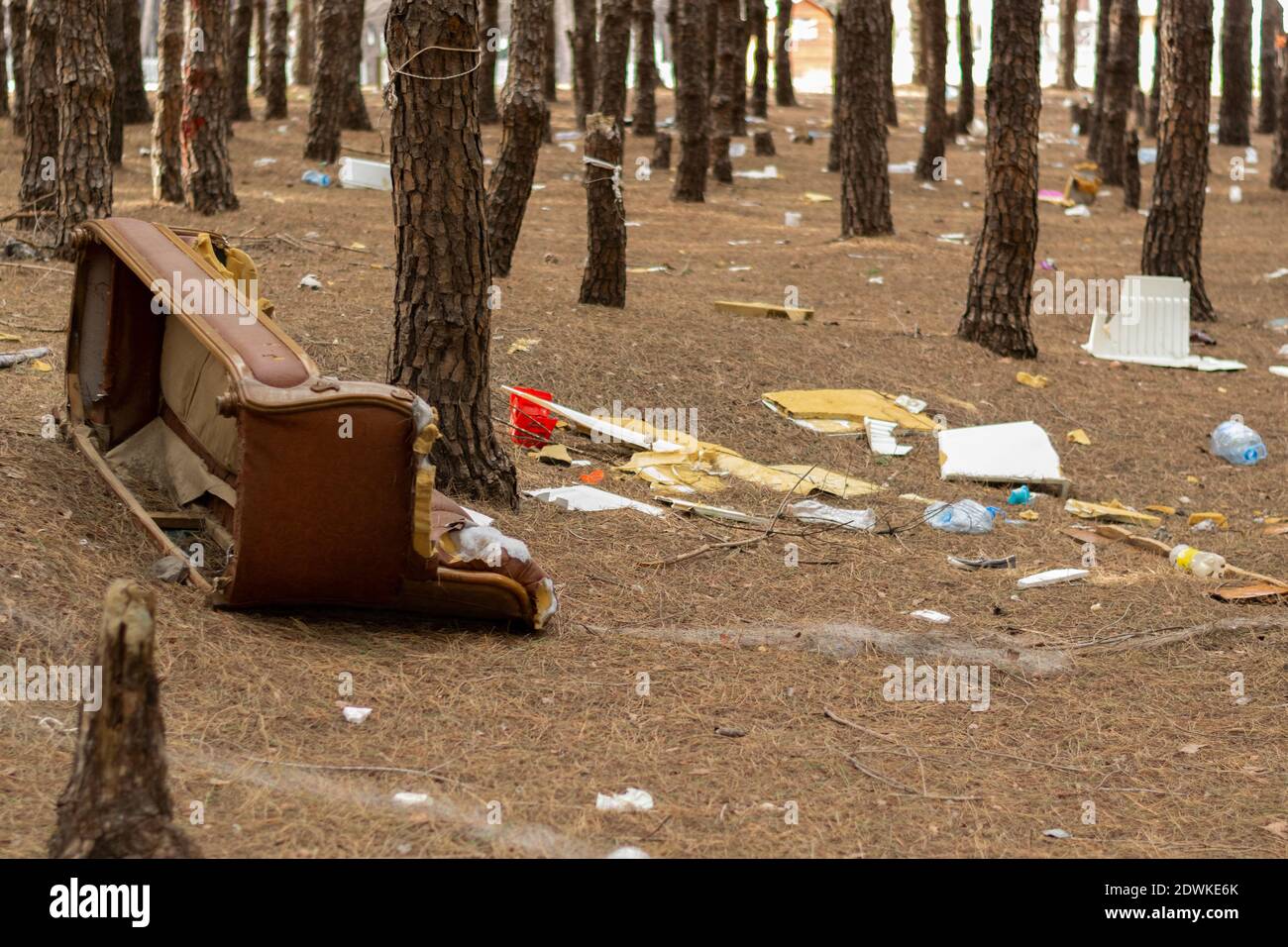 Trash thrown away in nature, environmental problems. Nature disaster ...