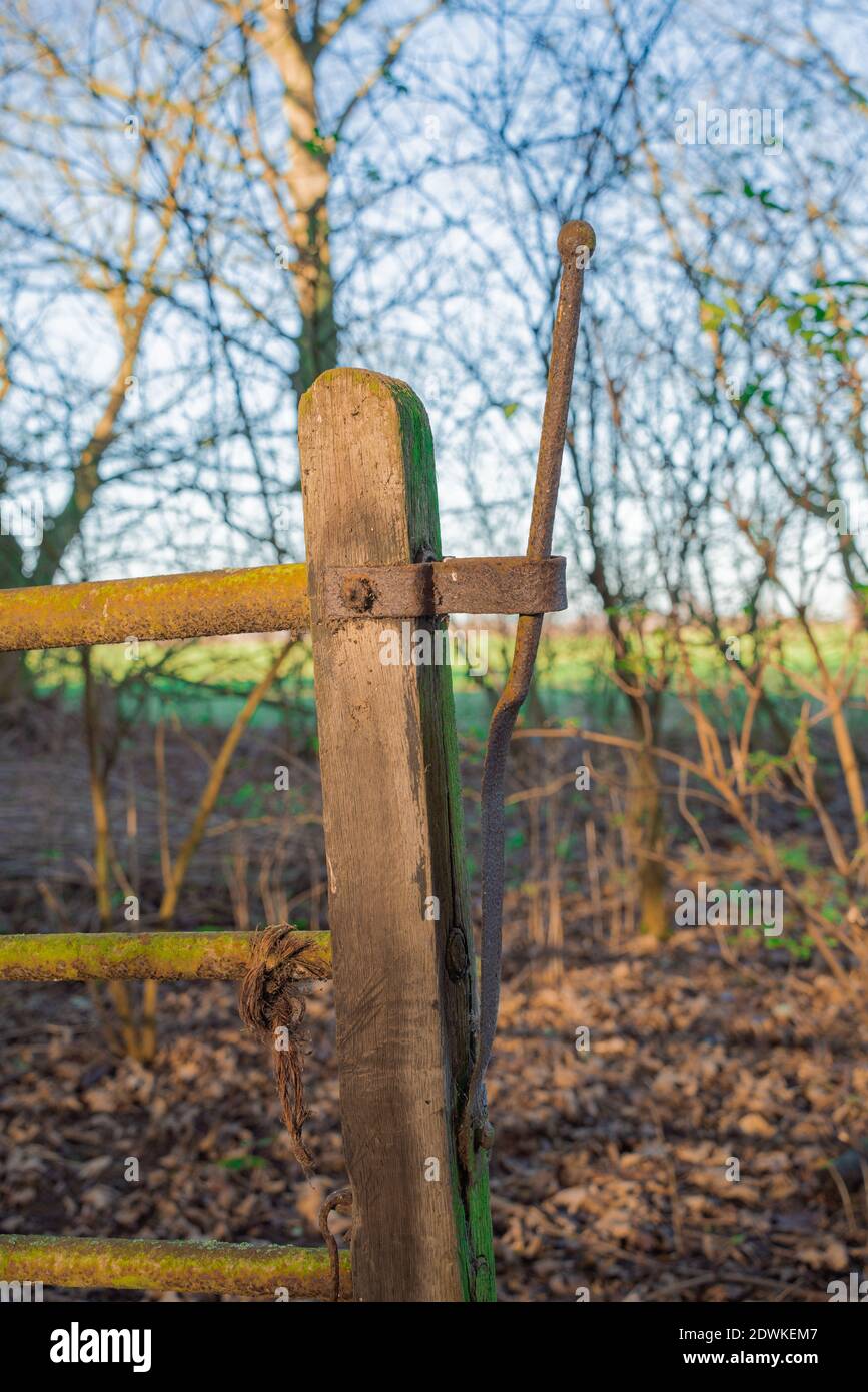 Abandoned old farm gate, rusting in peace, hidden gate, off beaten ...
