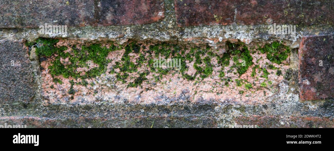 damaged brick from frost Stock Photo - Alamy