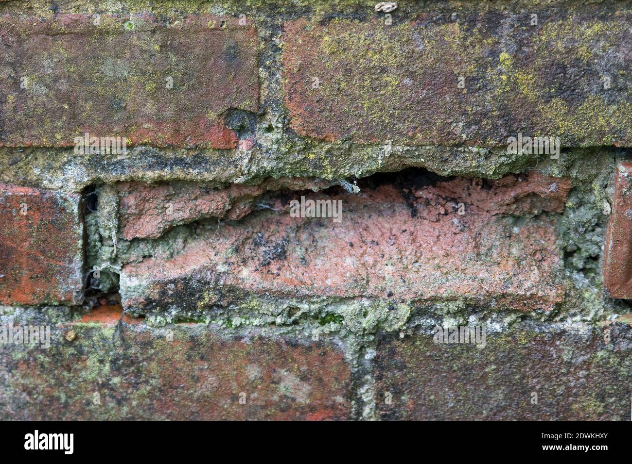 old porous brick damaged by frost Stock Photo - Alamy