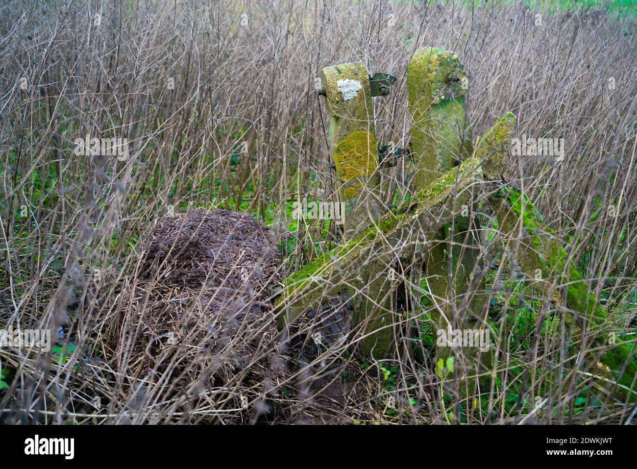 Remnants, concrete posts, old fence line, abandoned, fastening mooring ...