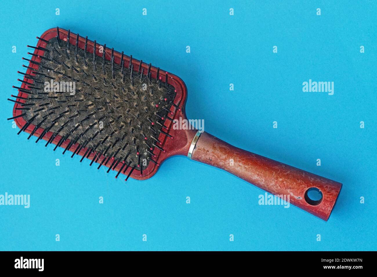 Used dirty hairbrush with lot of old hair Stock Photo - Alamy