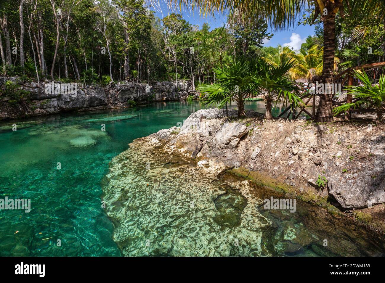 Open air cenote, Near Coba, Riviera Maya, Yucatan Peninsula, Mexico ...