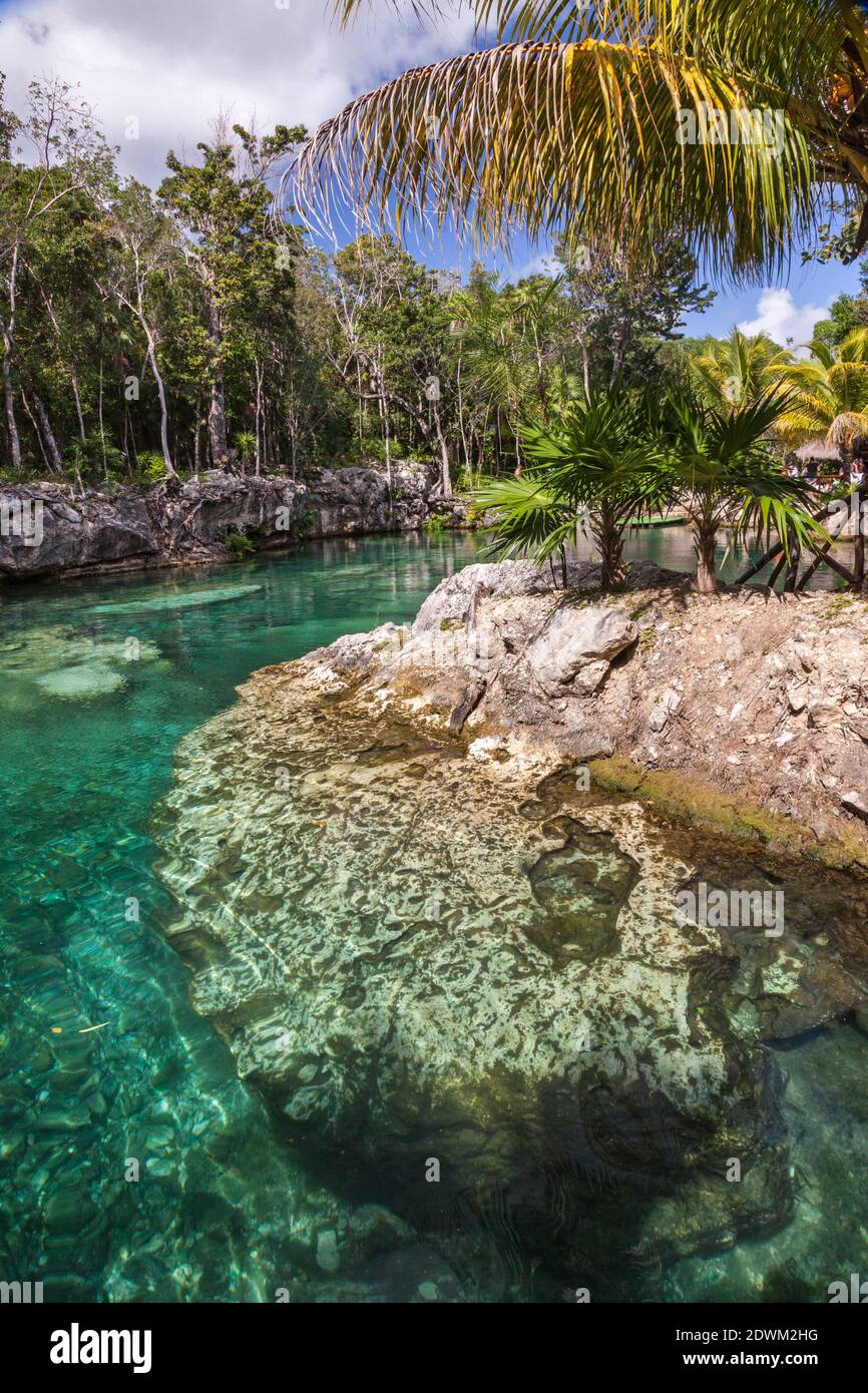 Open air cenotes hi-res stock photography and images - Alamy