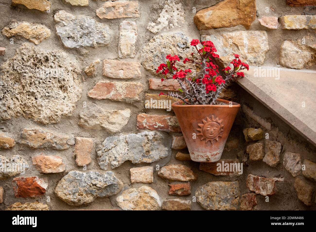old wall with beautiful red flower Stock Photo - Alamy