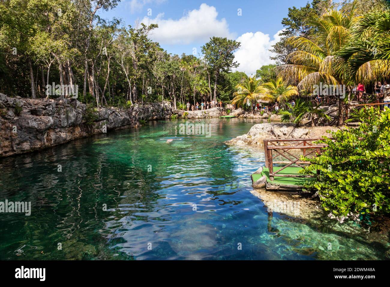 Open air cenote, Near Coba, Riviera Maya, Yucatan Peninsula, Mexico ...