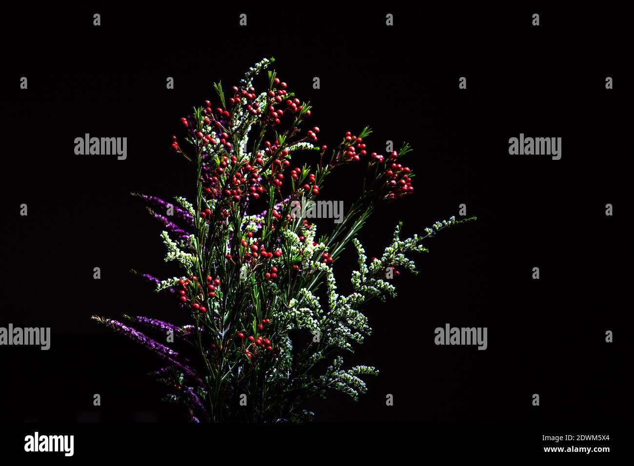 Australian Native Bouquet High Resolution Stock Photography and Images ...