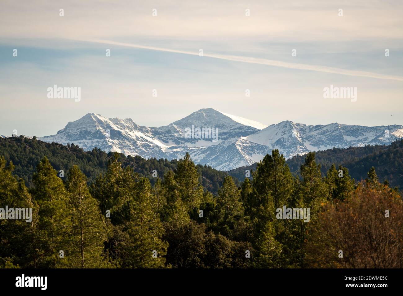snowy mountain peaks with pine trees under it and fuzzy clouds Stock ...